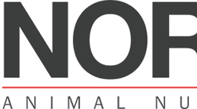 Norel – Poultry Dairy Feed