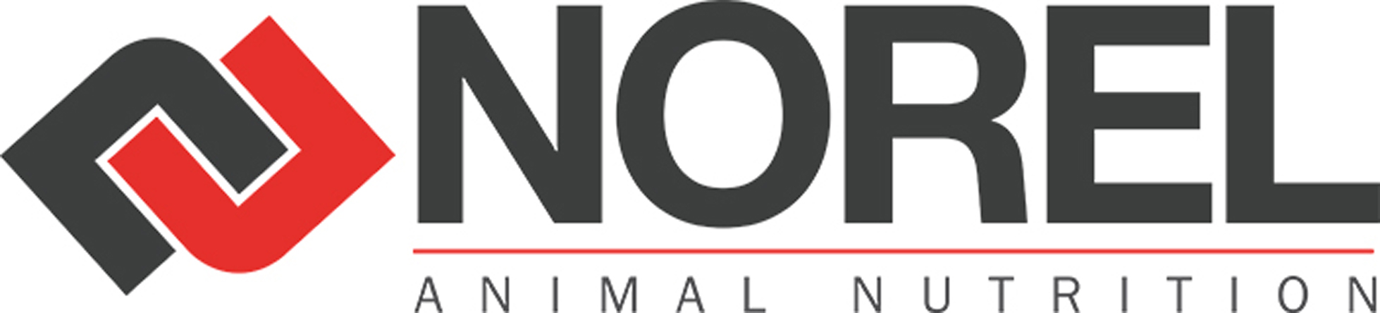 Norel – Poultry Dairy Feed