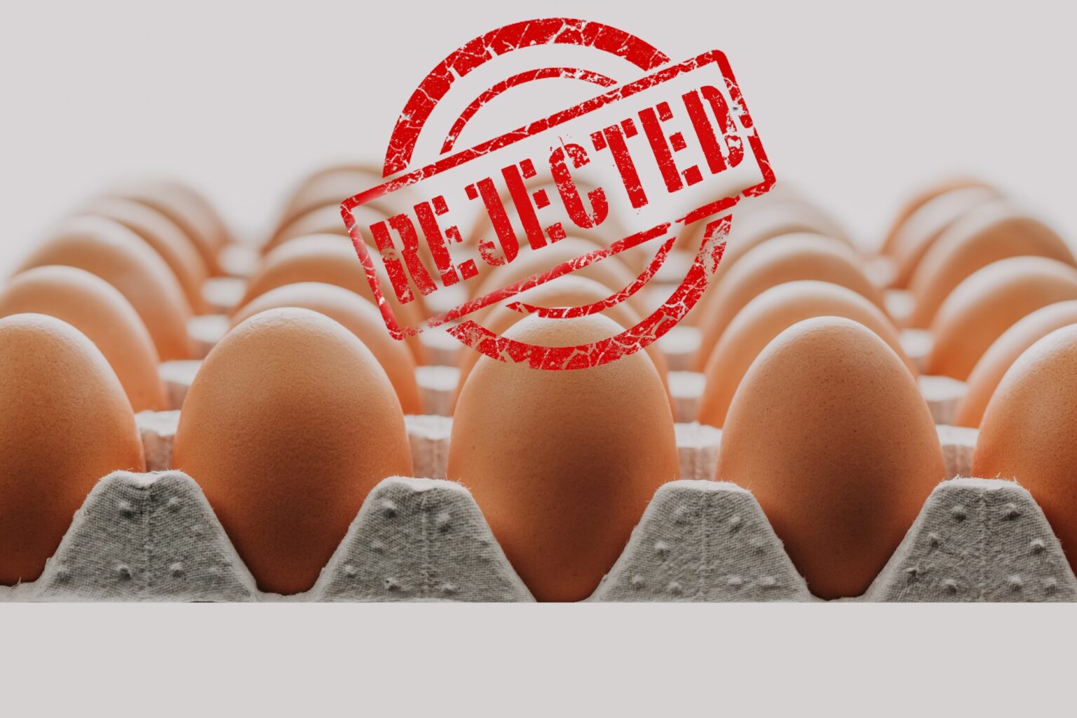 Oman’s Import Restrictions on Indian Eggs Deliver a Blow to Tamil Nadu ...